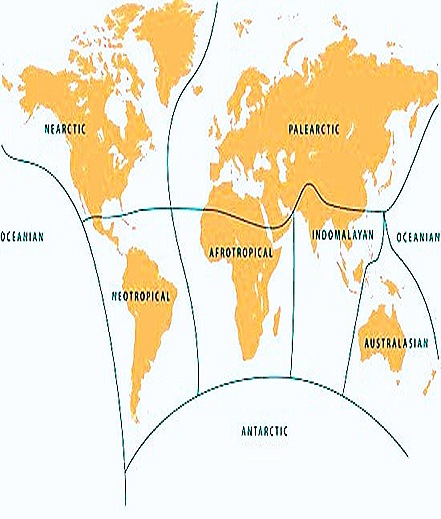 ZOOGEOGRAPHY-INTRODUCTION | BIOZOOM